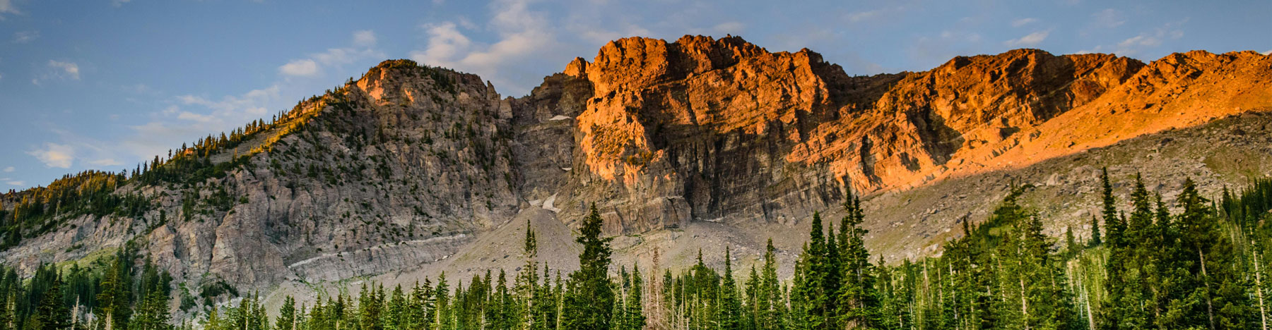 Shop | Four Corners Writers